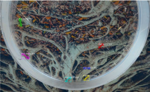 The Ant People of Scranton | Department of Biology News and Blogs