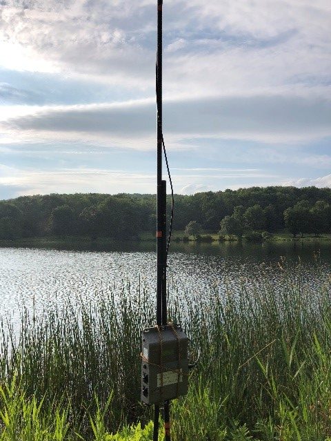 The Challenges and Rewards of Bat Population Research – The Royal ...