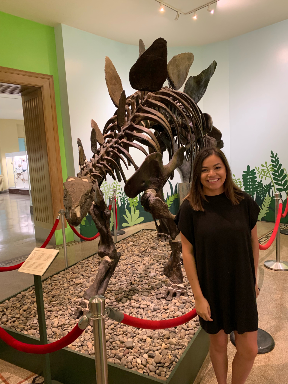 The Rewards of a Museum Internship – The Royal Experience Summer ...