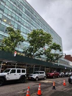 The Royal Experience Summer Internship Program – The University of ...