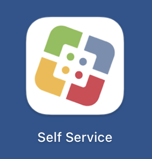 Mac Updates: Jamf and macOS Monterey | IT Matters